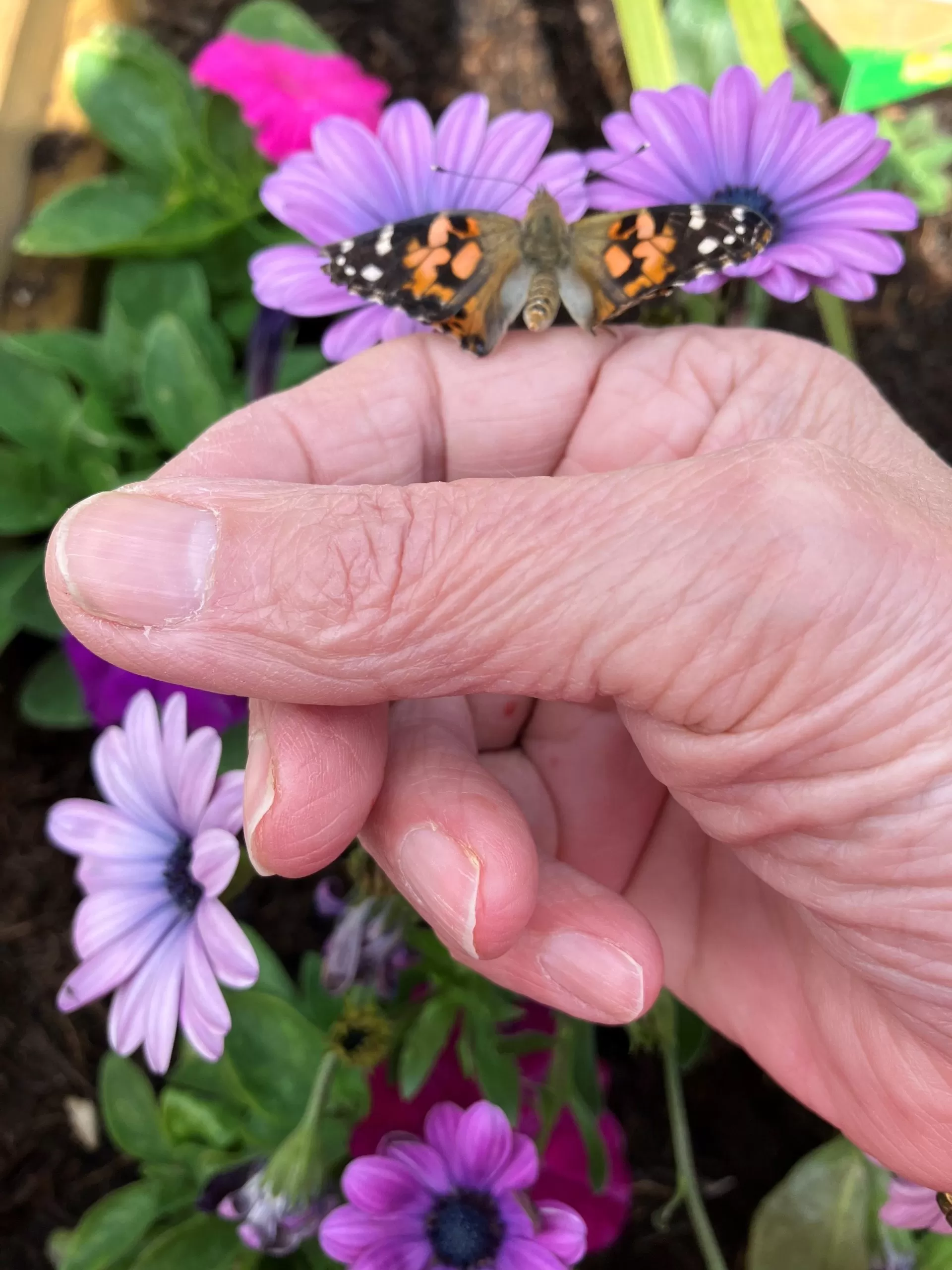 What's On - Kenton Hall Care Home