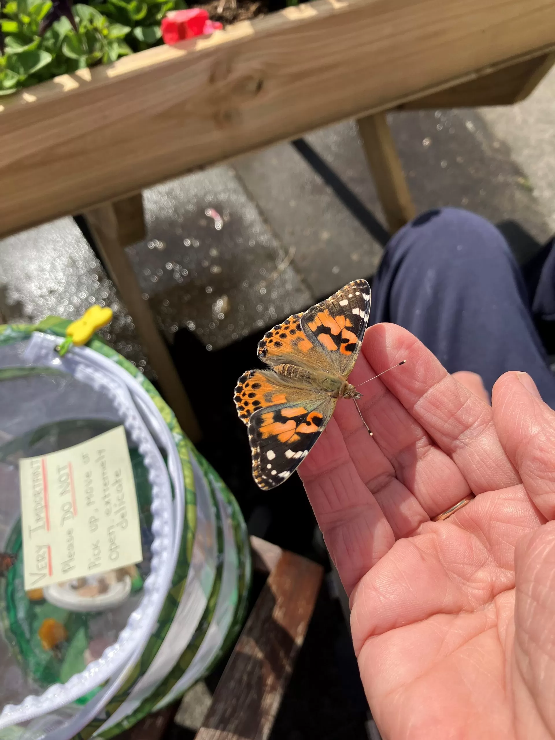 What's On - Kenton Hall Care Home